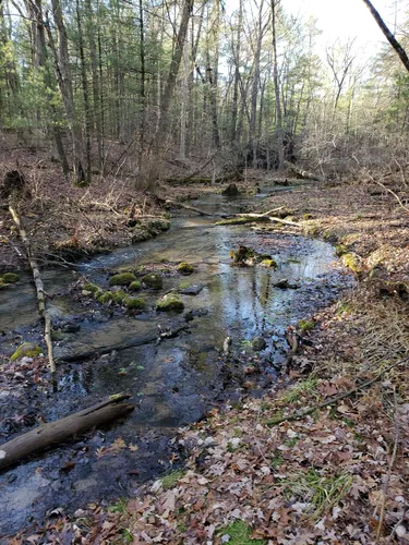 Best Hikes and Trails in Silver Creek Park and Campground | AllTrails