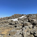 Mount Ossa Summit Track, Tasmania, Australia - 28 Reviews, Map | AllTrails