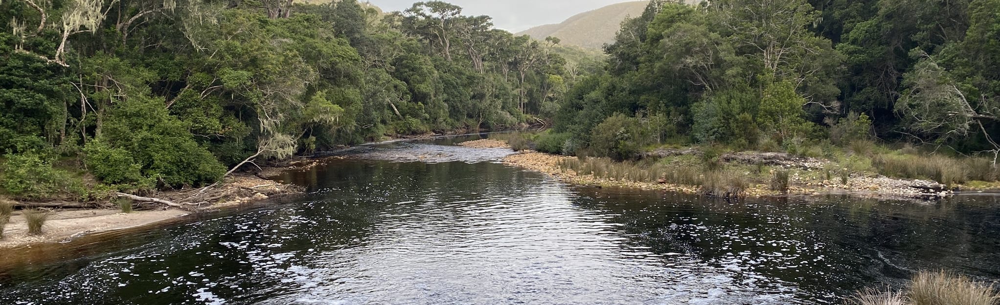 Natures Loop: 2 Reviews, Map - Western Cape, South Africa | AllTrails