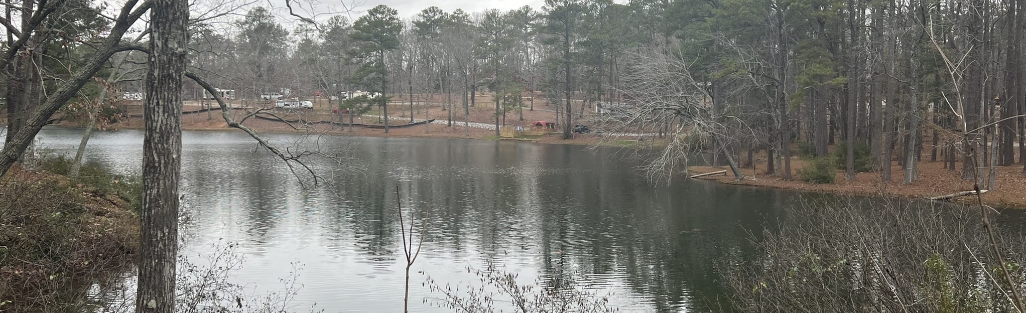 Delano and Pool Trail: 134 Reviews, Map - Georgia | AllTrails