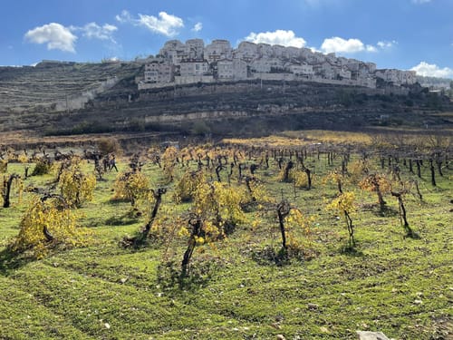 Best Hikes and Trails in Neve Daniel | AllTrails