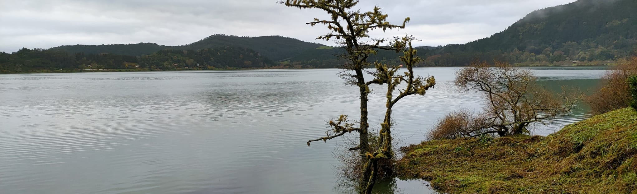 Furnas Lagoon Trail: 574 foto's - Azoren, Portugal | AllTrails