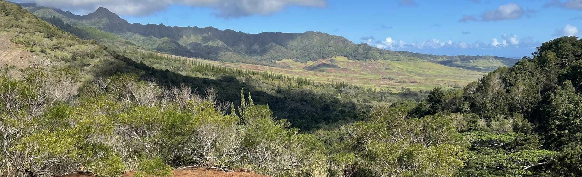 Honouliuli Contour Trail, Oahu, Hawaii - 4 Reviews, Map | AllTrails