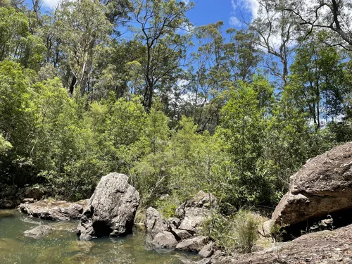 10 Best Trails and Hikes in Mount Mee | AllTrails