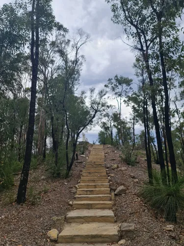 10 Best Hikes and Trails in Yengo National Park | AllTrails