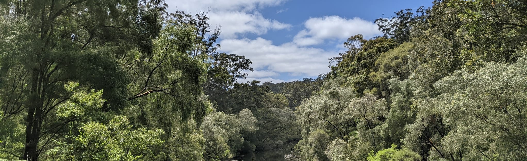 Warren River Loop Walk - Western Australia, Australia | AllTrails