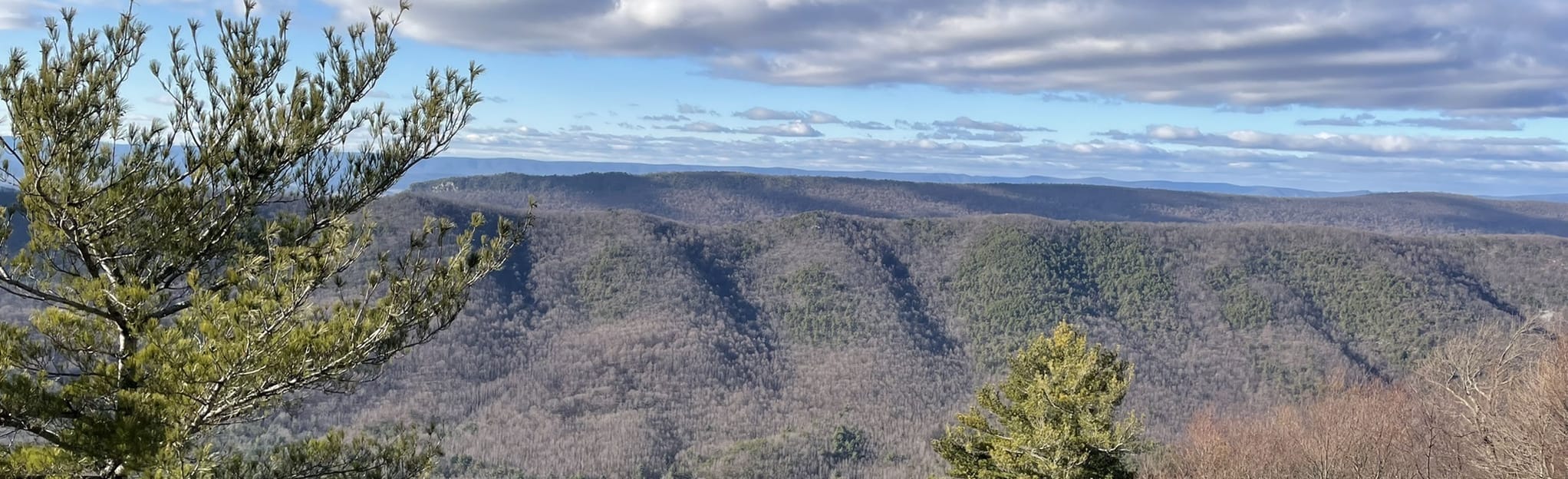 Gap Creek Trail to Duncan Knob, Virginia - 243 Reviews, Map | AllTrails