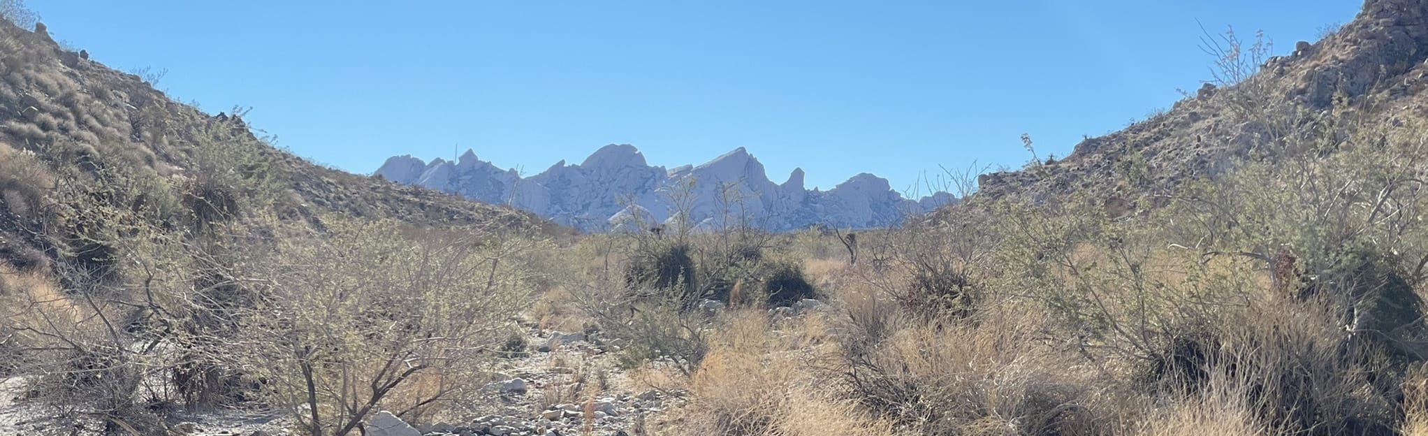 Pipe Spring Trail to Dry Water Falls, Nevada - 27 Reviews, Map | AllTrails