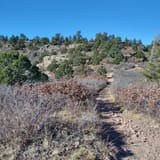 Stultz Trail, Colorado - 121 Reviews, Map | AllTrails