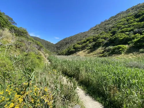 10 Best Trails and Hikes in Lorne | AllTrails