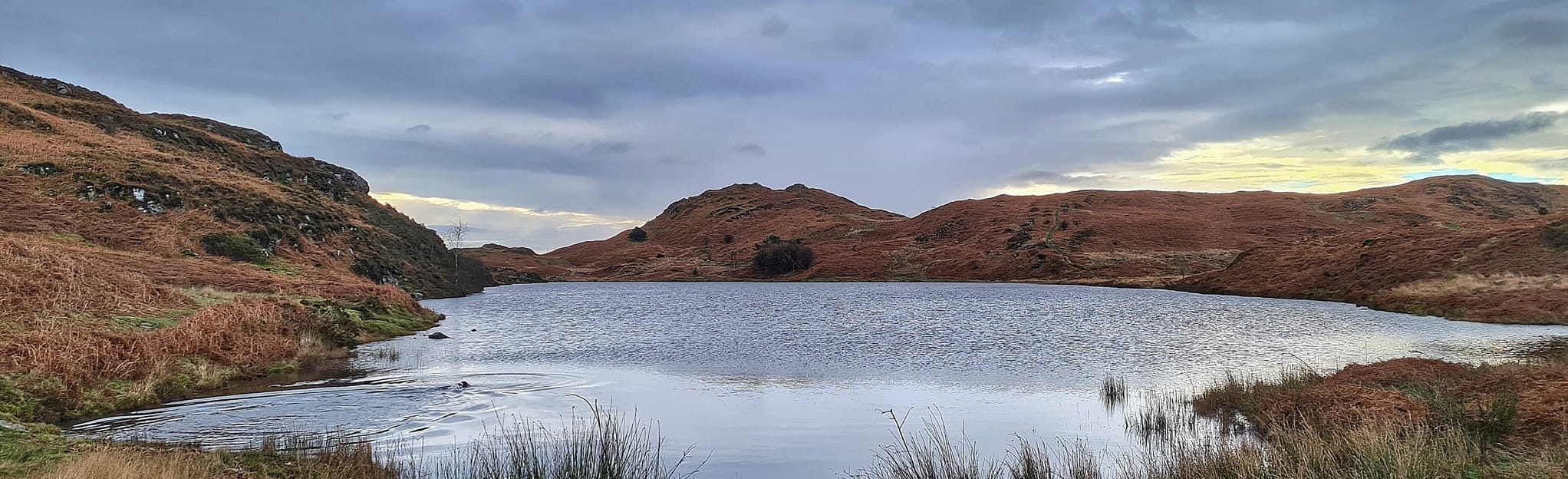 Beacon Tarn Circular, 248 Fotos - Cumbria, England | AllTrails