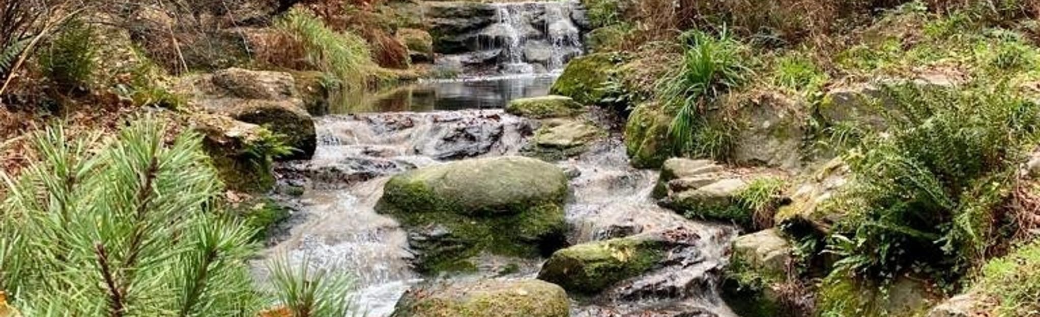 Cens Valley: from the Erdre to the Parc de la Gaudinière | Map, Guide ...