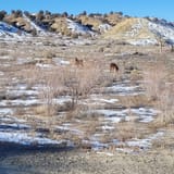 Jackson Lake Trail, New Mexico - 73 Reviews, Map | AllTrails