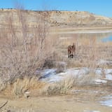 Jackson Lake Trail, New Mexico - 73 Reviews, Map | AllTrails