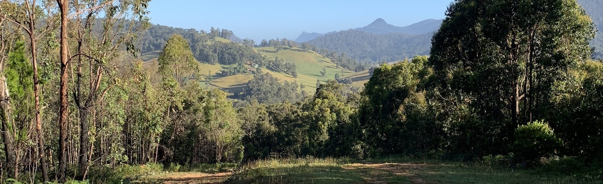 Taggerty River Lookout Loop, Victoria, Australia - 40 Reviews, Map ...