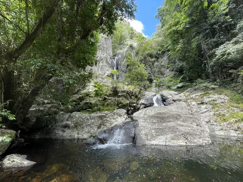 10 Best Trails and Hikes in Mount Glorious | AllTrails