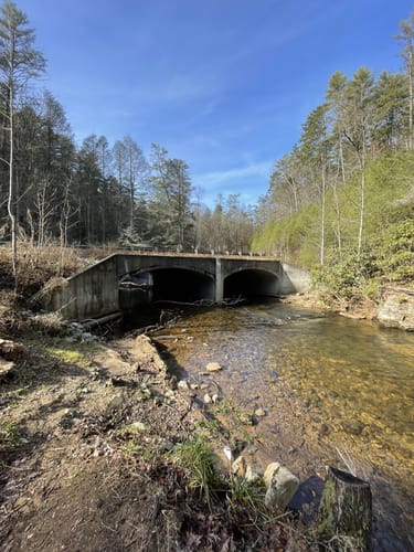 Best Hikes And Trails In Coopers Creek Wildlife Management Area Alltrails