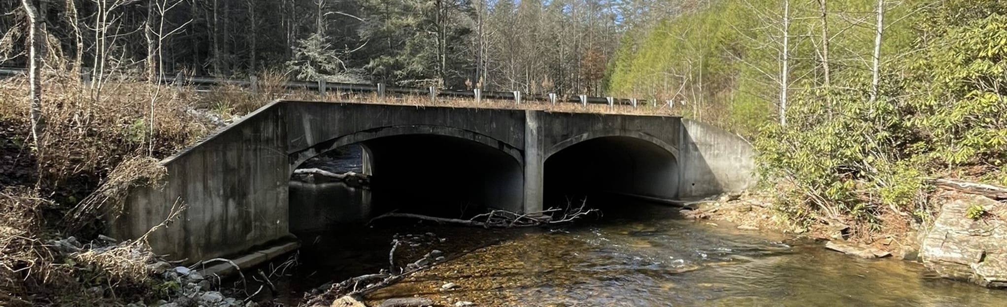 AllTrails | Cooper Creek Trail: 62 Reviews, Map - Georgia