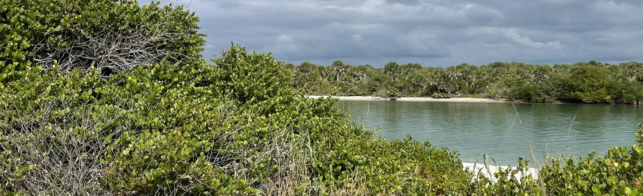 Stump Pass Beach Trail: 82 Reviews, Map - Florida | AllTrails