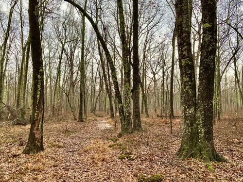 Best Hikes and Trails in May Prairie State Natural Area | AllTrails