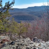Torry Ridge Hike- Lower Sherando Lake via White Gap Trail, Virginia ...