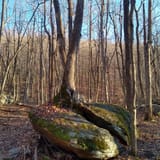 Torry Ridge Hike- Lower Sherando Lake via White Gap Trail, Virginia ...