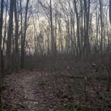 Saunders Springs Nature Preserve Loop, Kentucky - 330 Reviews, Map ...