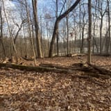 Saunders Springs Nature Preserve Loop, Kentucky - 330 Reviews, Map ...