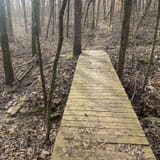 Saunders Springs Nature Preserve Loop, Kentucky - 330 Reviews, Map ...