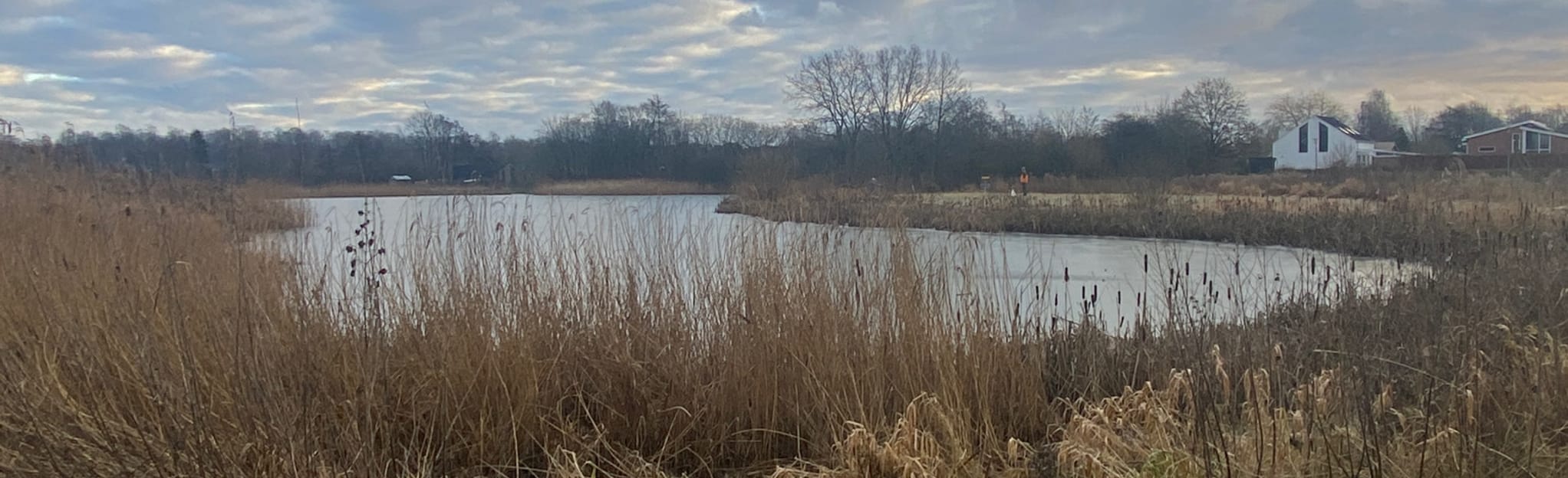 AllTrails | Den Blå Skov: 2 Reviews, Map - Central Denmark, Denmark