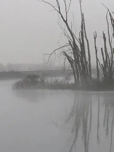 Best Hikes and Trails in Fox Island Park | AllTrails