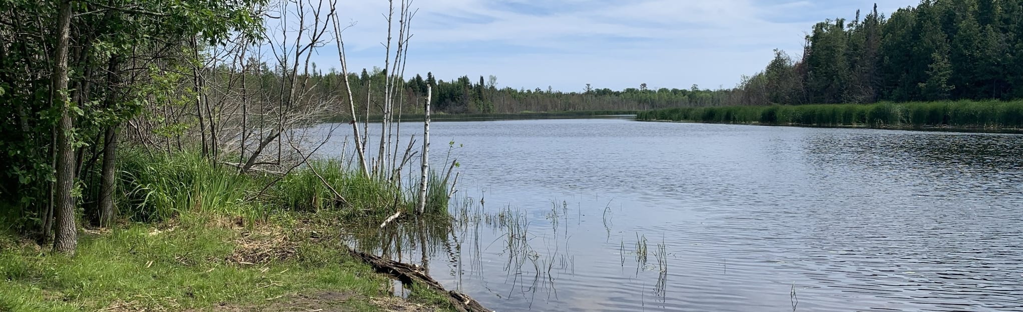 Mink River Estuary Trail , Wisconsin - 64 Reviews, Map | AllTrails