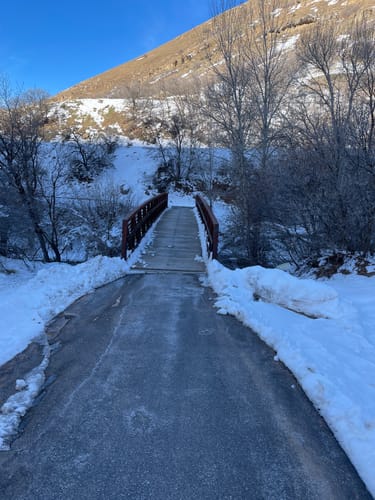 2023 Best 10 Trails and Hikes in Springville | AllTrails