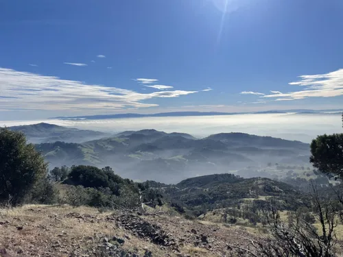 Best Short Trails in Mount Diablo State Park | AllTrails