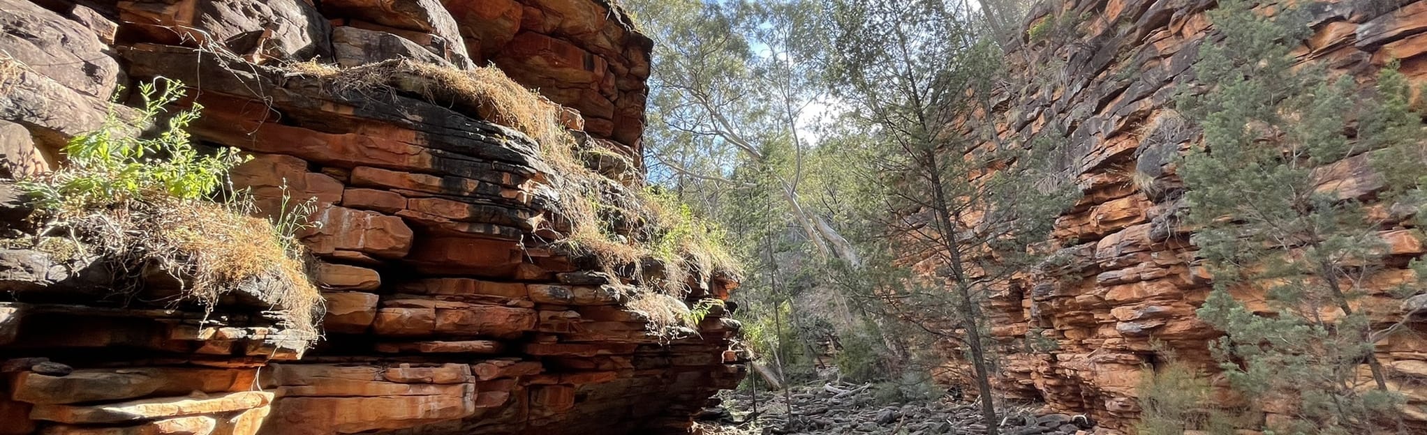 Alligator Gorge and Ring Route, South Australia, Australia - 146 ...