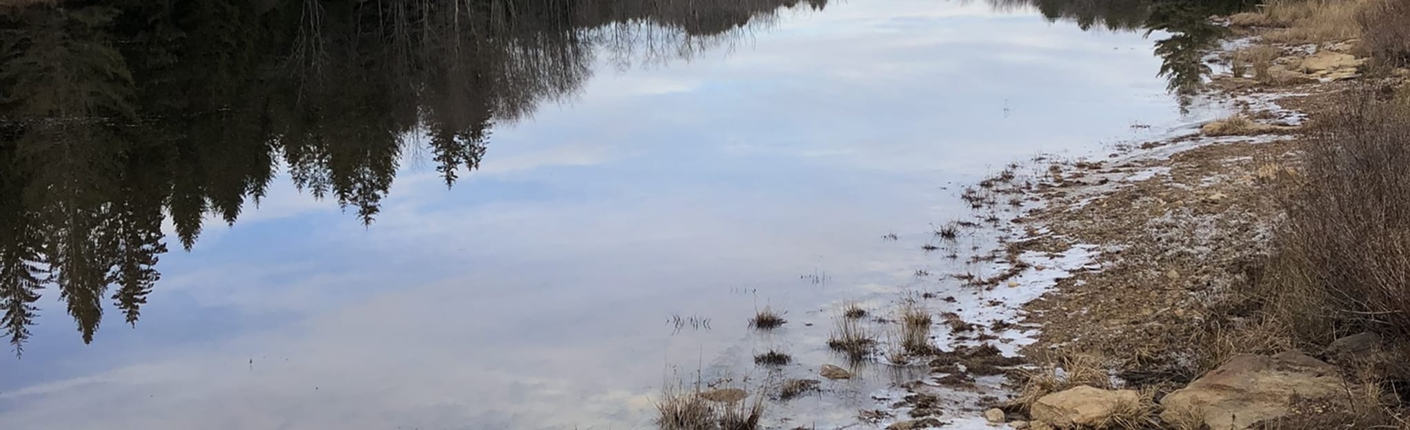 Pase Point Trail: 221 Reviews, Map - West Virginia | AllTrails