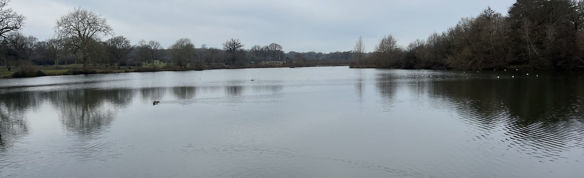 Hatfield Forest Circular, Essex, England - 24 Reviews, Map | AllTrails