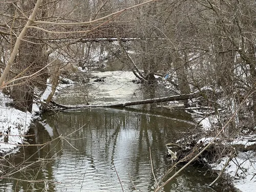 Moses Springer Park: de beste routes om te wandelen | AllTrails