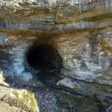 Patton Cave Loop Via Grubb Ridge, Indiana - 273 Reviews, Map | AllTrails
