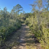Eastern Lake Trail: Yellow and Red Trails Loop, Florida - 223 Reviews ...