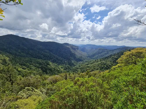 10 Best Camping Trails in Main Range National Park | AllTrails