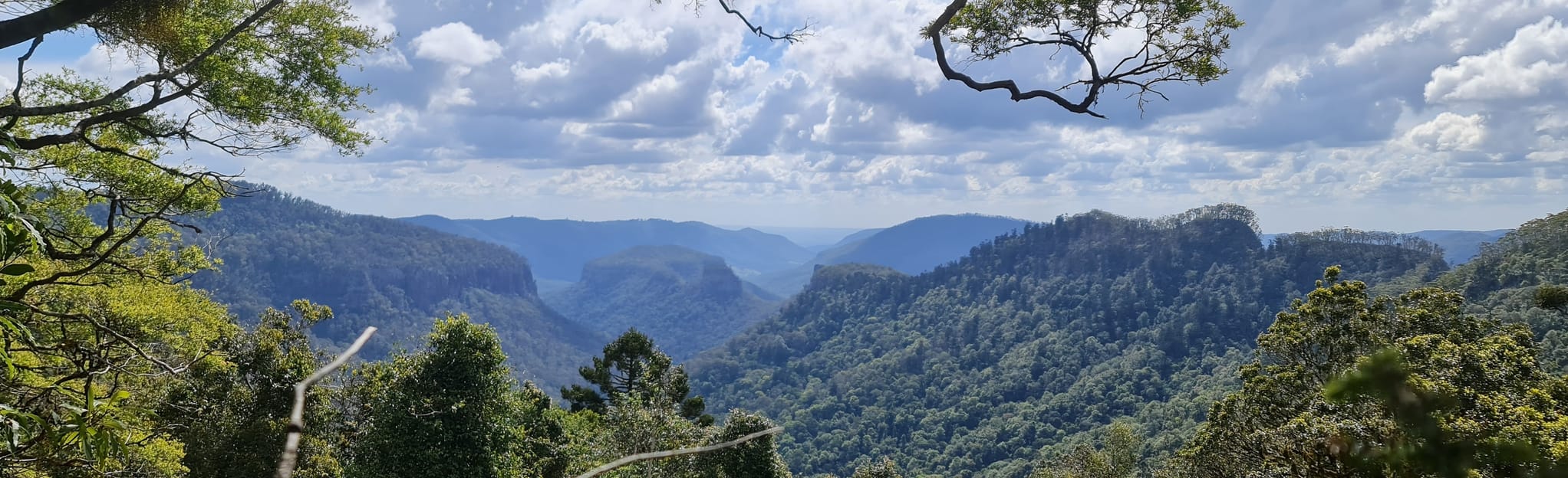 Stern Lookout via Mount Superbus, Lizard Point and Steamers Trails: 293 ...