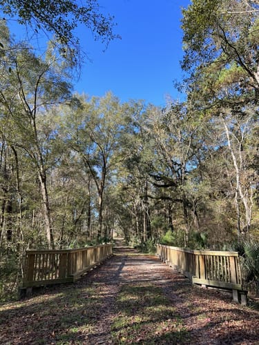 2023 Best 10 Trails and Hikes in Alachua | AllTrails