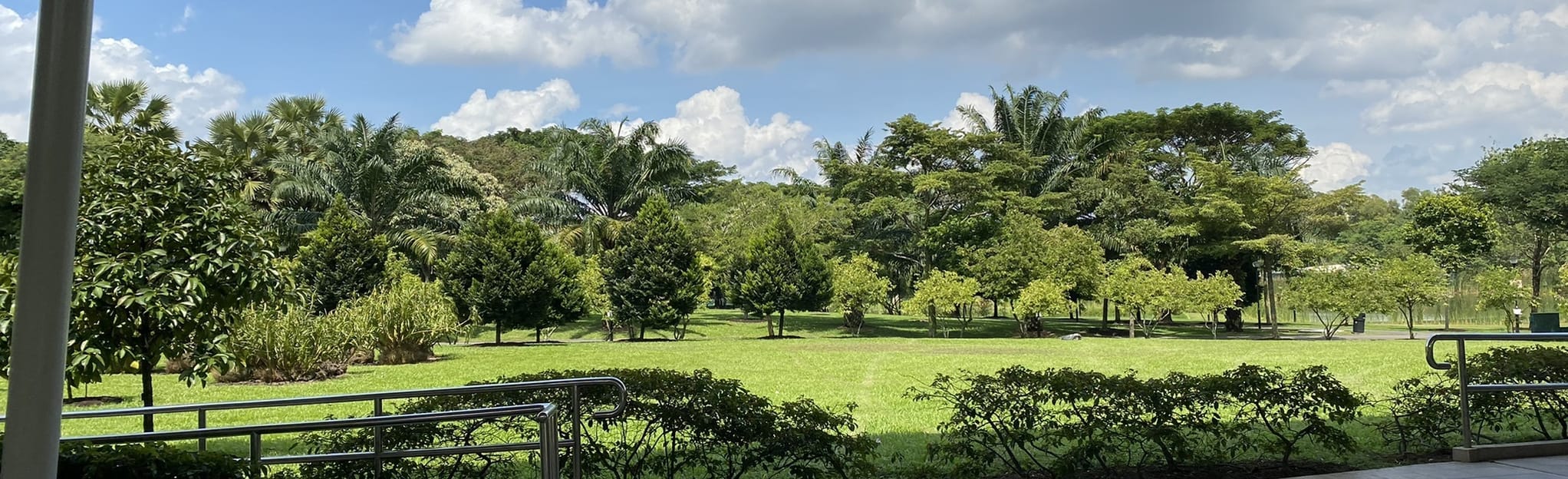 Sengkang Riverside Park: 15 Reviews, Map - Central, Singapore | AllTrails