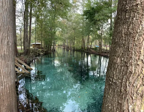 10 Best Trails and Hikes in High Springs | AllTrails