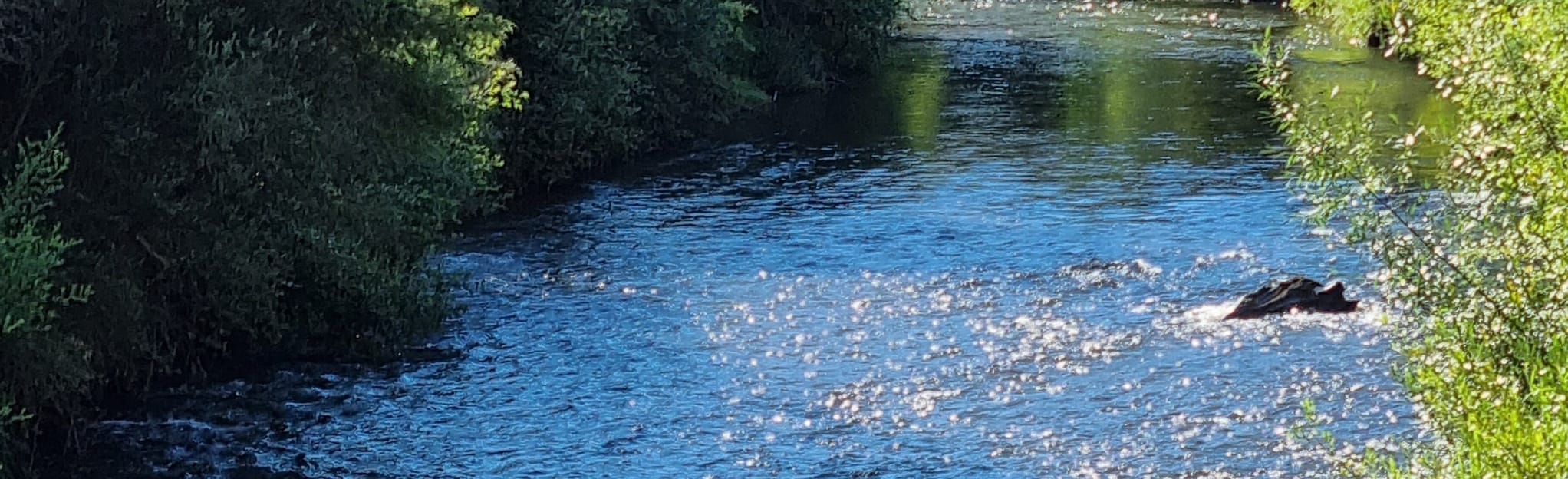 Porepunkah River Walk, Victoria, Australia - 14 Reviews, Map | AllTrails