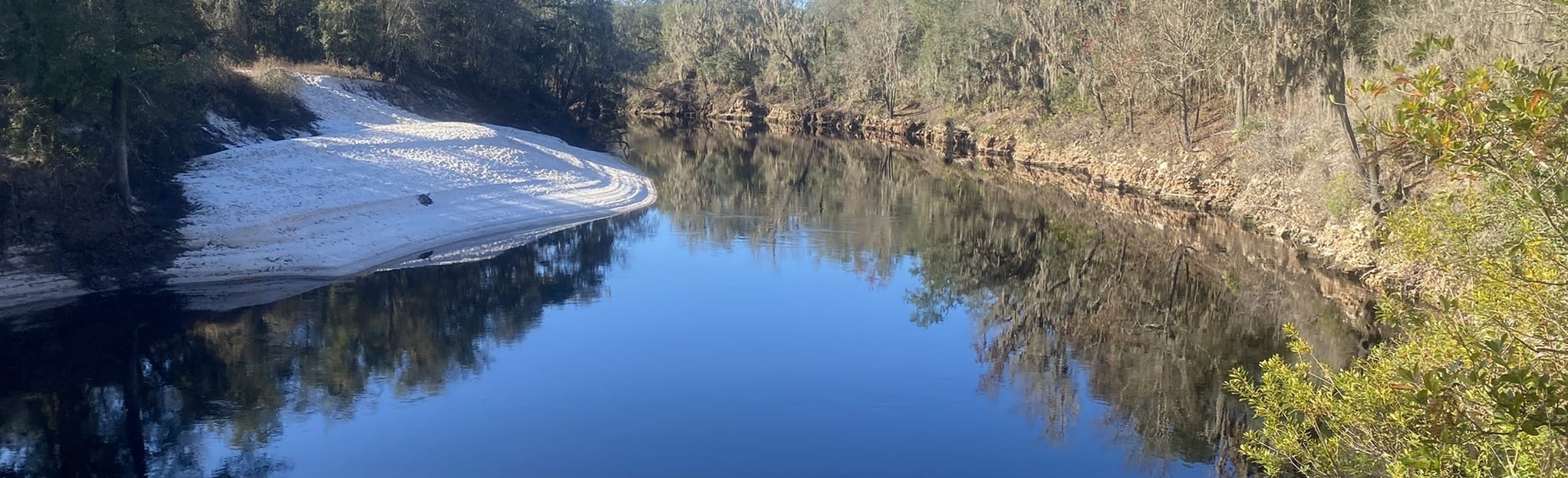 Florida Trail: CR25A to US 129, Florida - 32 Reviews, Map | AllTrails