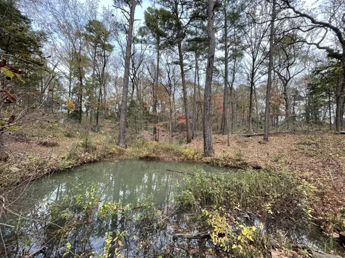 Best Hikes and Trails in Tyler State Park | AllTrails
