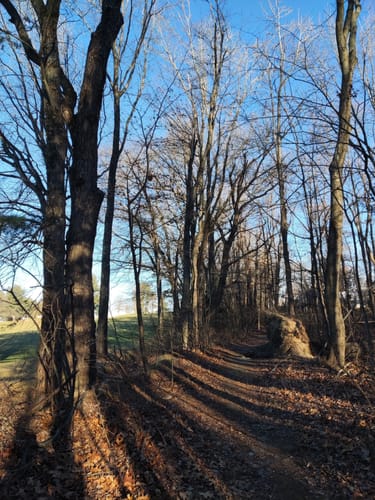 Best Hikes and Trails in Larch Hill Conservation Area | AllTrails