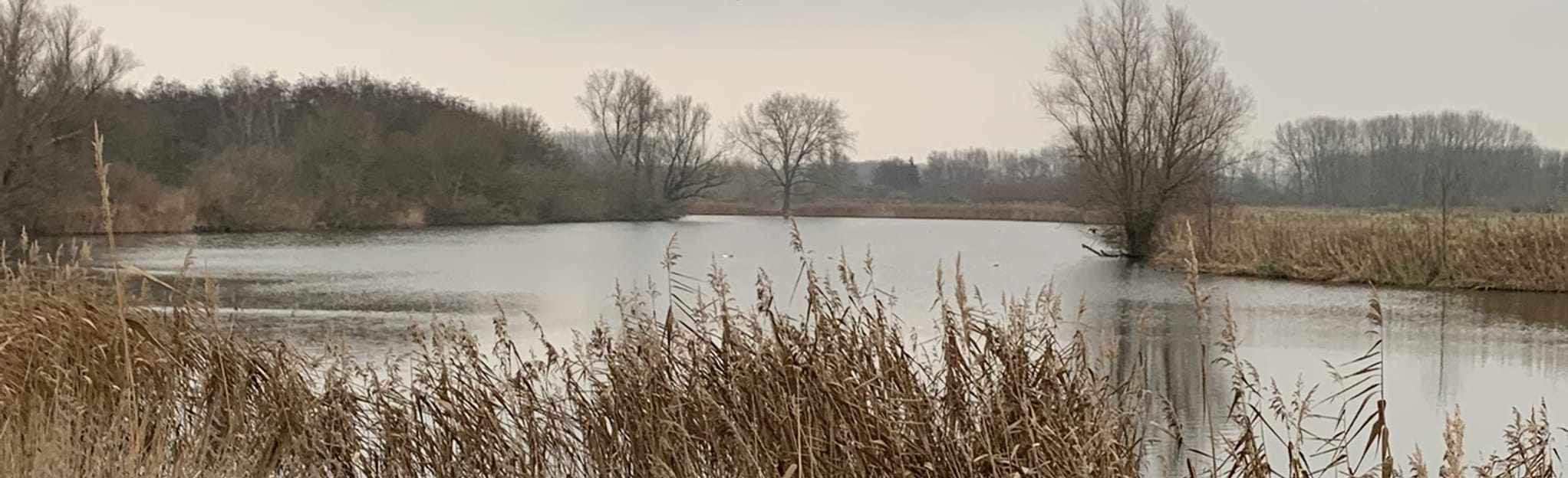 AllTrails | Old Durme Loop: 23 Reviews, Map - East Flanders, Belgium